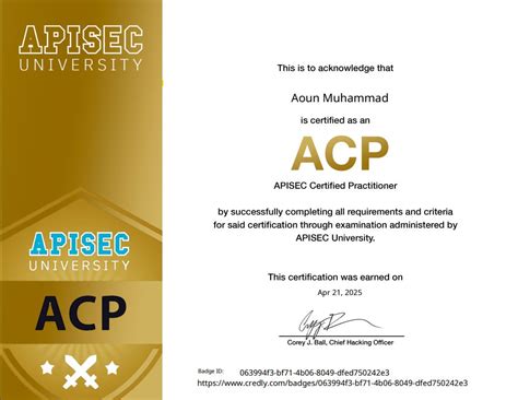 Apisecurity Cybersecurity Acp Owasp Apis Infosec Certified Appsec… Aoun Shah Naqvi