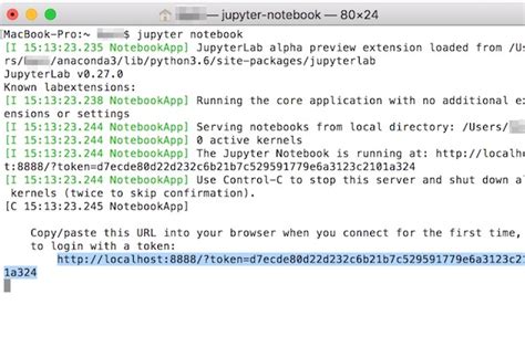 Jupyter Notebookを起動してもブラウザが開かない今まで使えてたのになぜ PEACHCLE