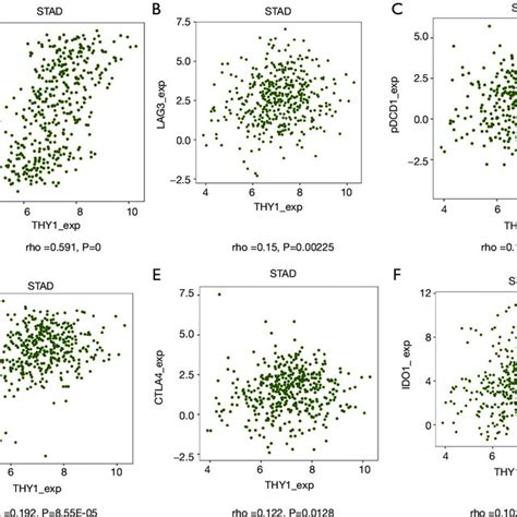 Correlation Between Thy1 Expression And Immune System A Thy1 Was Download Scientific Diagram