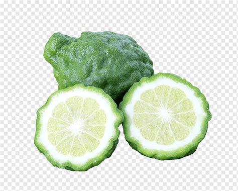 레몬 라임 음료 키 라임 레몬 소재 Png 재료 음식 감귤류 Png Pngwing