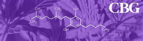 What Is Cbg Southern Comfort Wellness