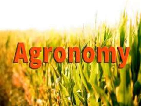 Fundamentals Of Agronomy Part 1 Pptx Agriculture Industries Fundamentals Of Agronomy Part 1 Pptx Agriculture Industries