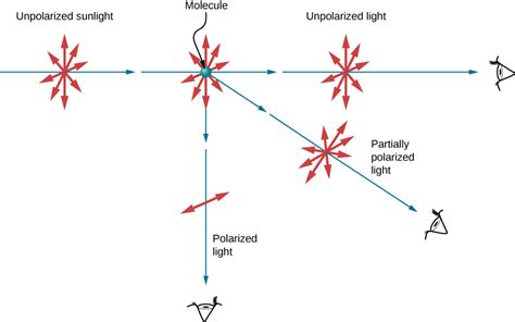 627 Polarization Chemistry Libretexts