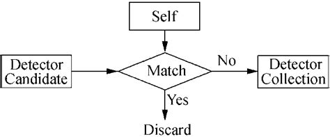 Negative Selection Of Anomaly Detectors A Detector Download Scientific Diagram