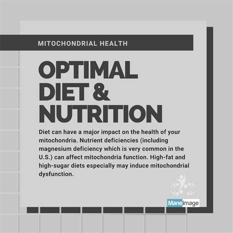 Understanding Mitochondrial Dysfunction Key Indicators And Diagnostic