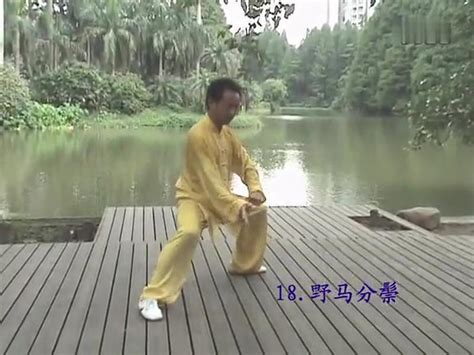 李国强42式太极拳全套背面慢速演练跟我学 体育 武术 好看视频