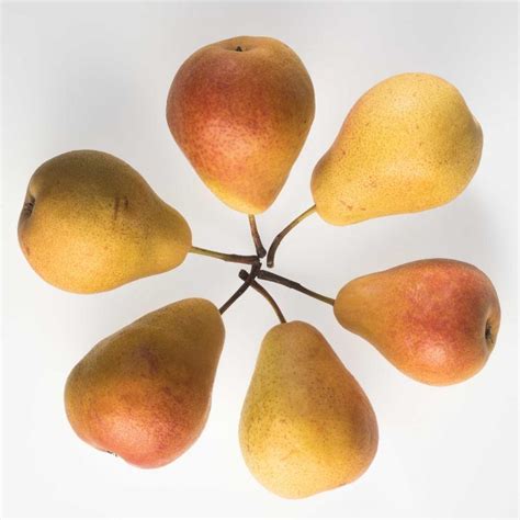 Fruits Object Detection Dataset And Pre Trained Model By Fruit Detection