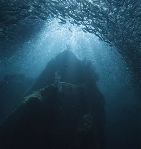 Pollution Ocean Central