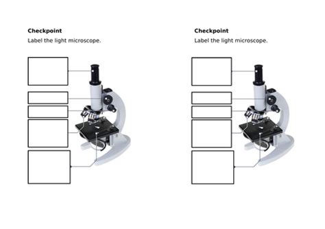 Aqa Gcse Setting Up Light Microscopes Teaching Resources
