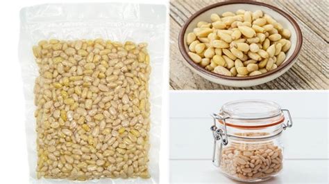 Как хранить кедровые орехи очищенные в домашних условиях срок хранения в квартире