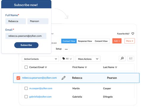 Add Interactive Forms In Email Campaigns Zoho Forms