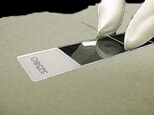 Cleaning And Handling Microscope Slides
