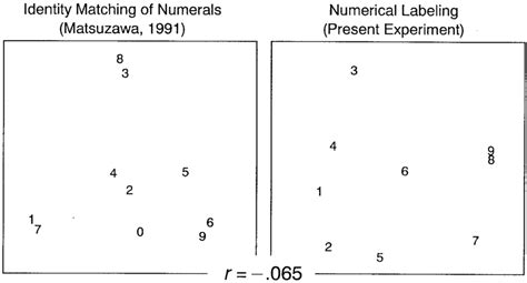 Two Dimensional Spatial Arrangements Of Multidimensional Scaling
