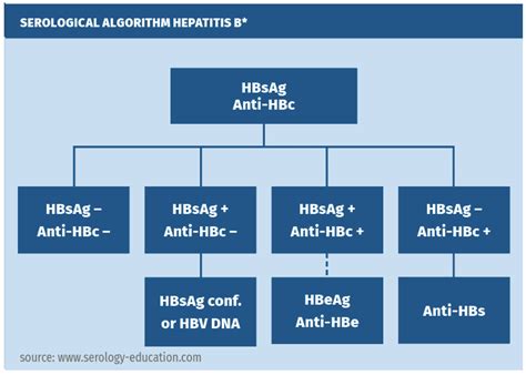 Serology Education Hepatitis B Virus