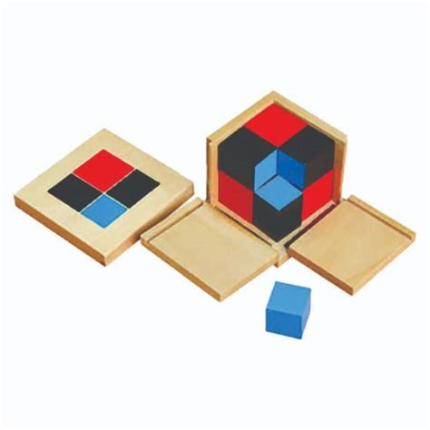 Aa 44 Binomial Cube 4 6 Yrs At Rs 2000piece In Indore Id 2852467261833