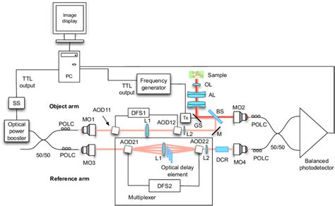 Schematic Layout Of The Long Range Ss Oct System Ss Swept Source Download Scientific Diagram