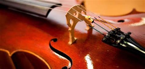 Cello Strings Tuning The Ultimate Guide Teds List