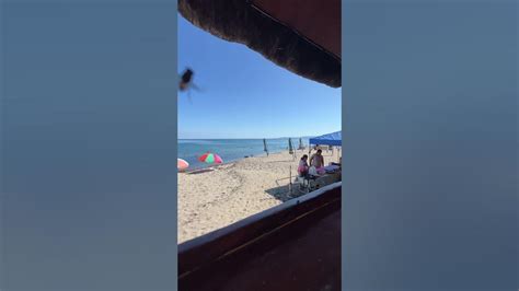 Beach Bumming Elyu Youtube