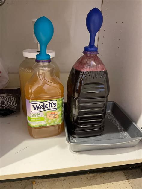 Experiment With Potassium Metabisulfite Rprisonhooch