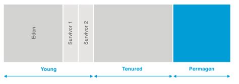 8 种 Java 内存溢出之三 Permgen Space 阿里云开发者社区