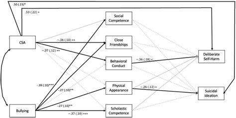 Does Multidimensional Self Concept Mediate The Relationship Of