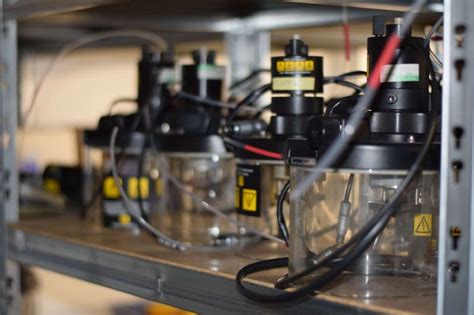 Massspec Massspec Msvision Msvision Massspectrometry Lcms Service Msvision Lc Ms