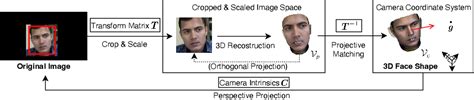 Figure 1 From Learning By Novel View Synthesis For Full Face Appearance Based 3d Gaze Estimation