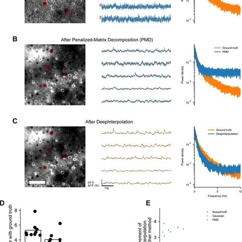 comparison of deepinterpolation noise2void⁶ a gaussian kernel