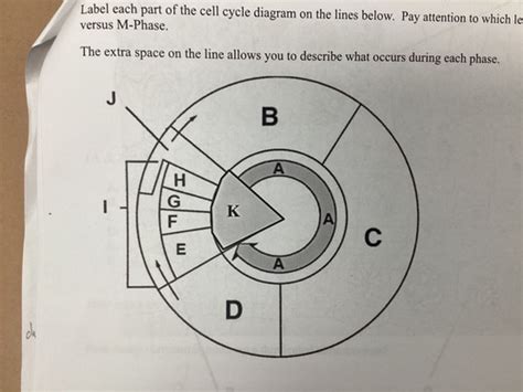 Cell Cycle Unit 6 Part 1 Study Guide Flashcards Quizlet
