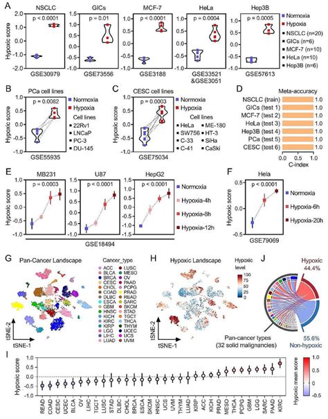 How To Assess Tumor Microenvironment Hypoxia For Immunotherapy Biomedhack Posted On The Topic