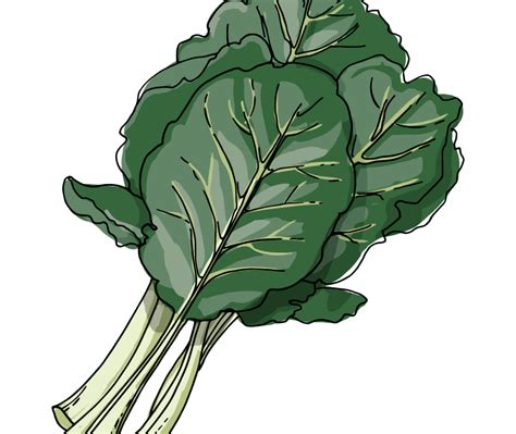 Collards Ed Lester Farms