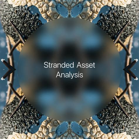 Stranded Asset Analysis → Term