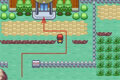 Sceptilite In Pokémon Radical Red Fandomspot