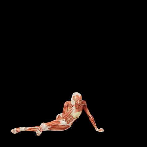 다리를 꼰 자세 여성 Poses Posemaniacs Royalty Free 3d Pose Reference For