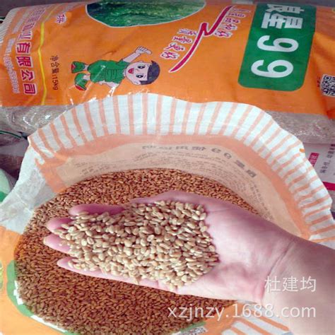 良星99小麦品种简介 良星66小麦品种 济麦60小麦品种介绍 大山谷图库