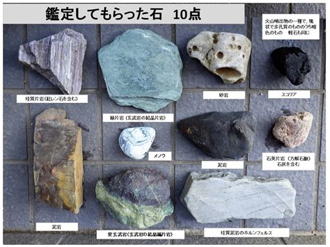 青少年のための科学の祭典 第23回広島大会 己楽苑