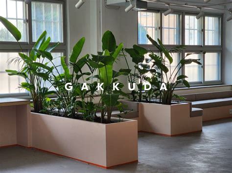 가꾸다 조화시공 카페인테리어 사무실인테리어 조화 조화장식 조화플랜테리어 조화인테리어 공간디자인 식물 인테리어식물 벽면조경 천장조경