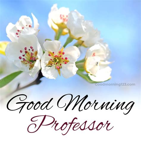 Good Morning Images And Wishes For Respected Professor