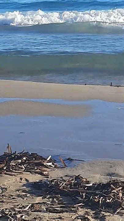 Respect 8ei Shorts Youtube