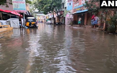 Cyclone Mandus Wreaks Havoc In Tamil Nadu More Than 50 Uprooted