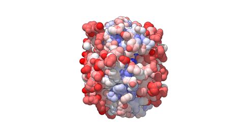 Human Insulin Hexamer Biologic Models