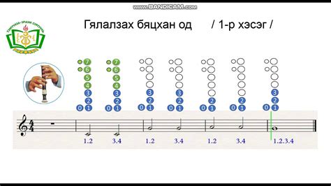 Ерөнхий боловсролын Тэмүүлэл Эрдэм сургуулийн багш Д Болдбаатар Twinkle Youtube