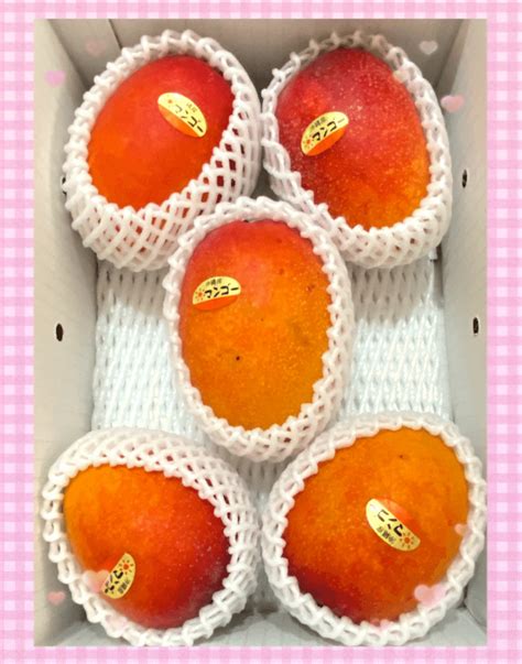 マンゴー｜杉本 幸江