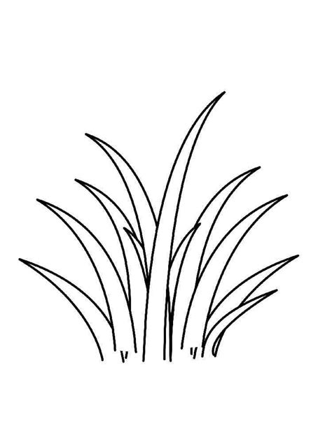 Grass Coloring Pages