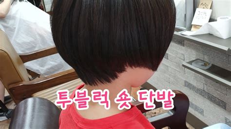 여학생 투블럭컷 투블럭 숏단발 투섹션 컷 헤어 스타일 변신 시켰어용 Youtube