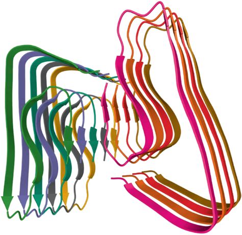 Amyloid Is Everywhere But New Treatments Could Stop The Toxic Build Up Nature Biotechnology