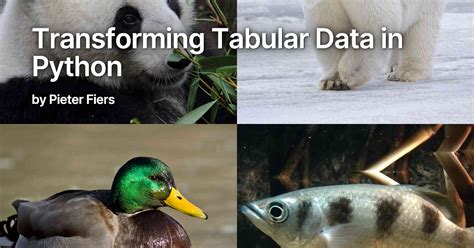 Transforming Tabular Data In Python