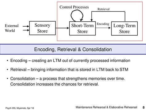 What Builds Strong Memories Ppt Download