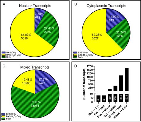 Rpe Transcript Localization Is Altered By Oxidative Stress All Download Scientific Diagram
