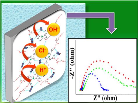 Bio‐based Epoxy Polyaniline Nanofiber‐carbon Dot Nanocomposites As Advanced Anticorrosive